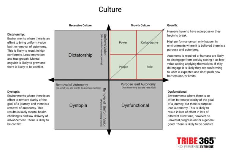 Everything you need to know about culture - Tribe 365